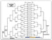32 Team Double Elimination Seeded Tournament Bracket – Reusable ...